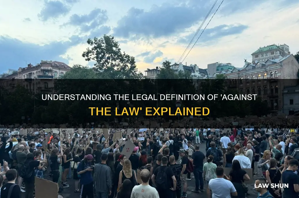 Understanding The Legal Definition Of 'Against The Law' Explained | LawShun