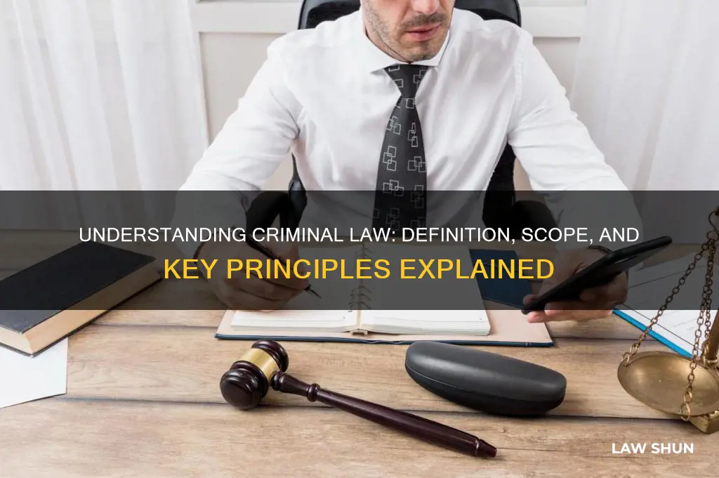 Understanding Criminal Law: Definition, Scope, And Key Principles ...