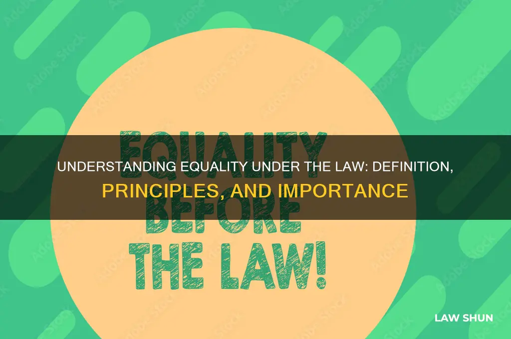 Understanding Equality Under The Law: Definition, Principles, And ...