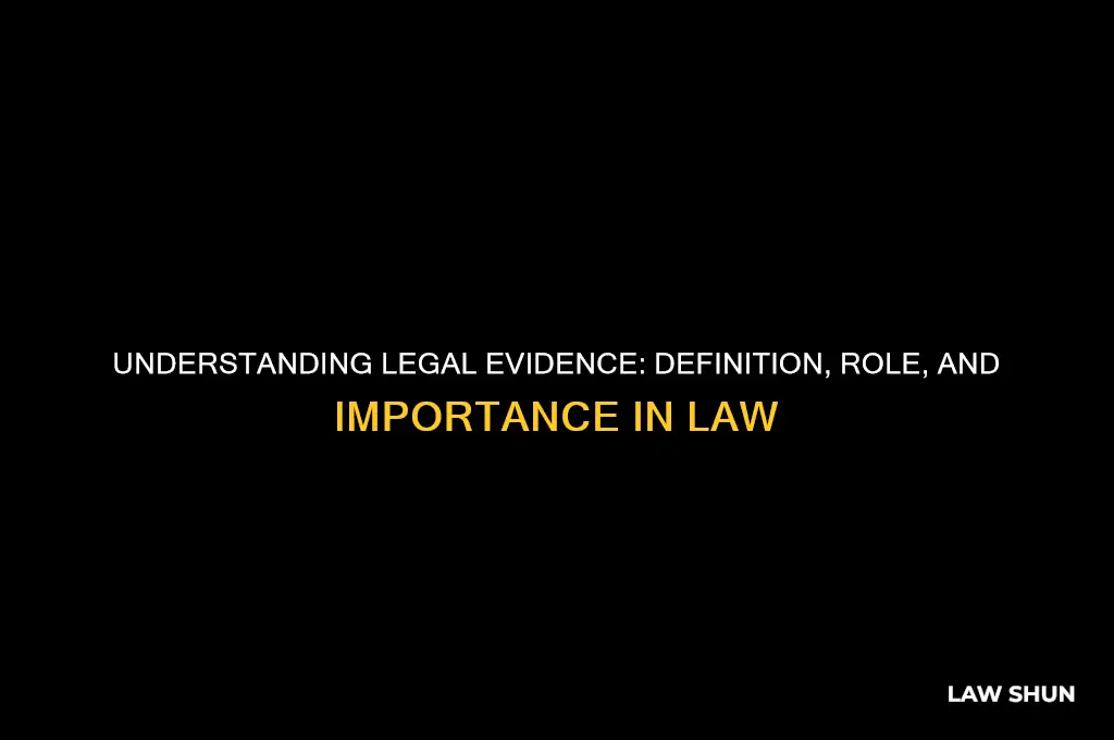 Understanding Legal Evidence: Definition, Role, And Importance In Law ...
