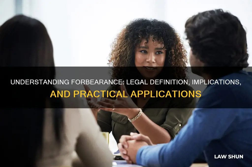 Understanding Forbearance: Legal Definition, Implications, And ...
