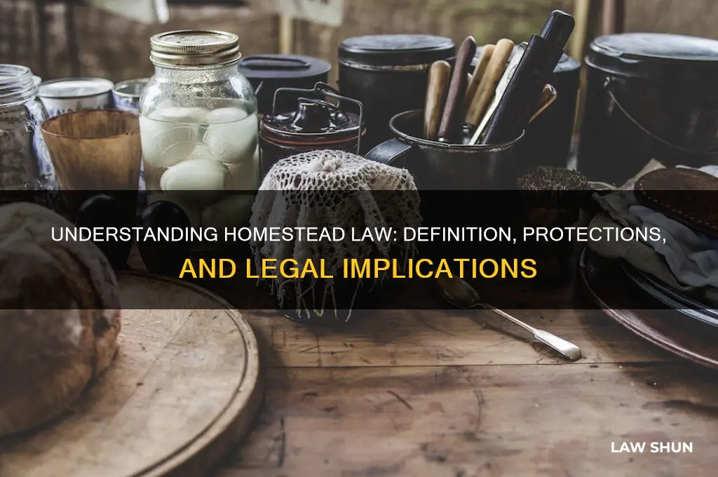 Understanding Homestead Law: Definition, Protections, And Legal ...
