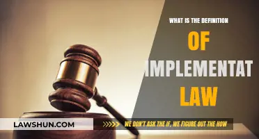 Understanding Enabling Law: Definition, Purpose, And Legal Implications ...