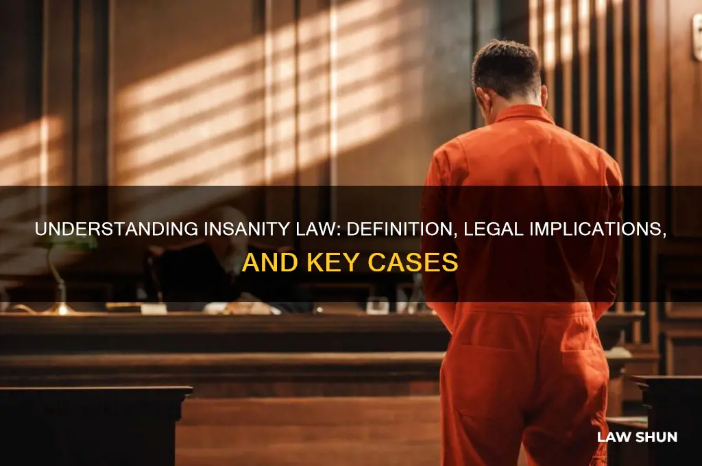 Understanding Insanity Law: Definition, Legal Implications, And Key ...