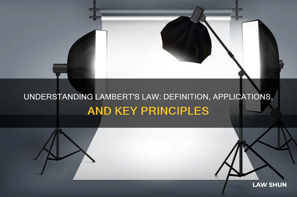 Understanding Lambert's Law: Definition, Applications, And Key ...