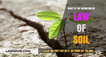 Understanding Loitering: Legal Definition And Implications Explained ...