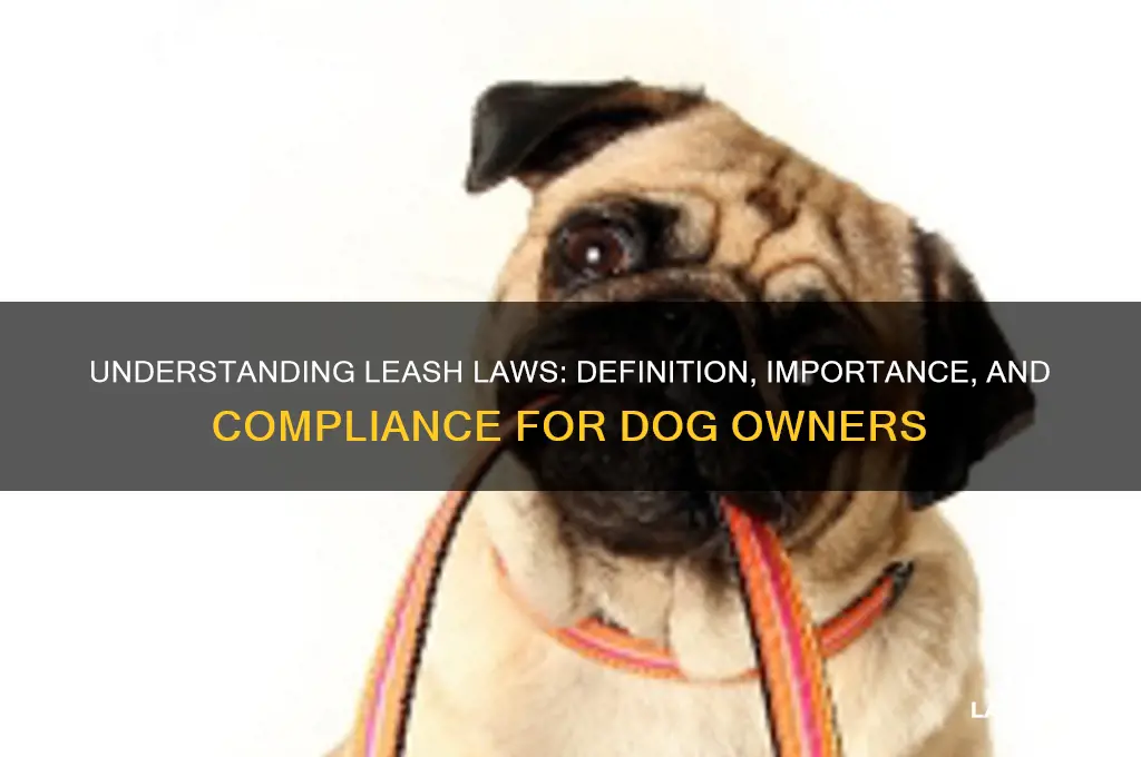 Understanding Leash Laws: Definition, Importance, And Compliance For ...