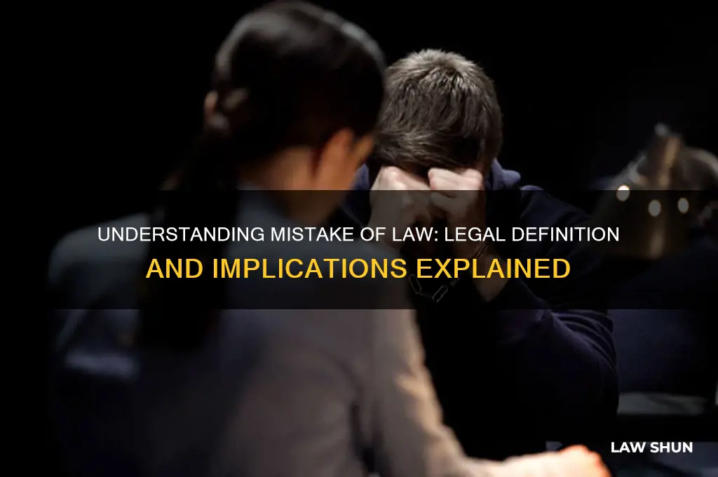 Understanding Mistake Of Law: Legal Definition And Implications ...