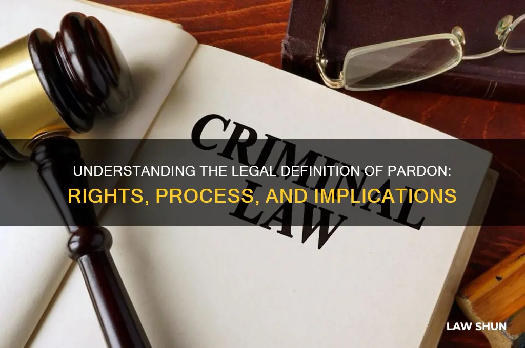 Understanding The Legal Definition Of Pardon: Rights, Process, And ...