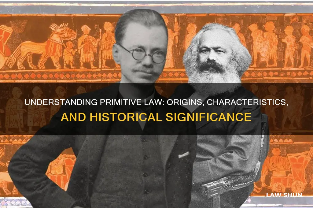 Understanding Primitive Law: Origins, Characteristics, And Historical ...