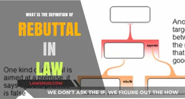 Understanding The Legal Role Of A Plaintiff In Court Cases | LawShun