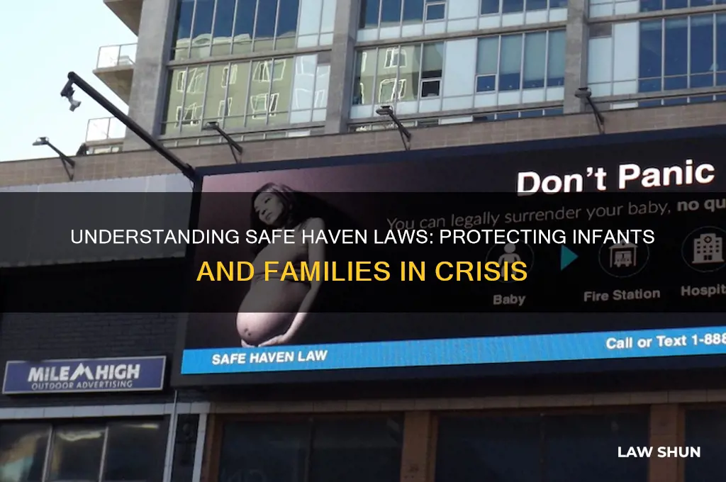 Understanding Safe Haven Laws: Protecting Infants And Families In ...