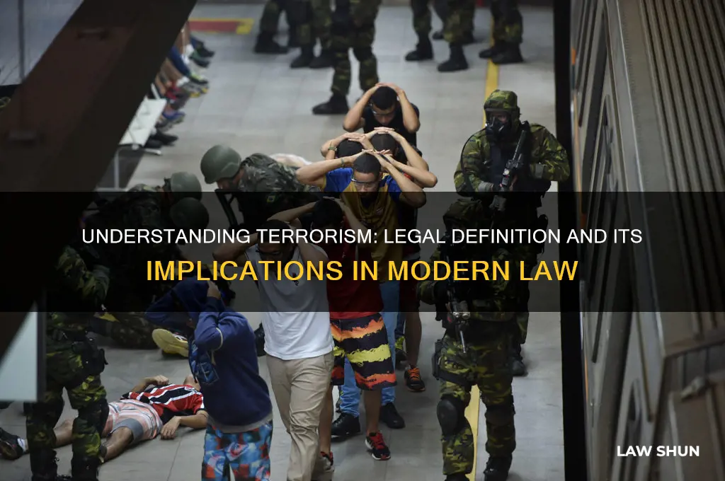 Understanding Terrorism: Legal Definition And Its Implications In ...