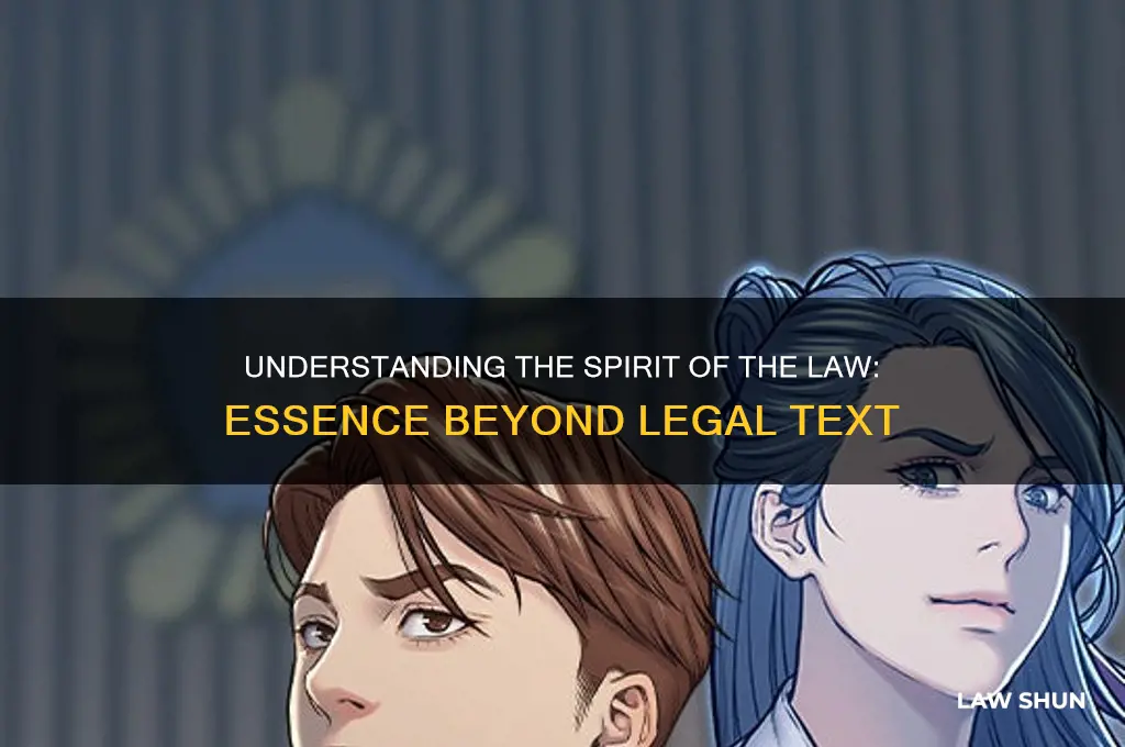 Understanding The Spirit Of The Law: Essence Beyond Legal Text | LawShun