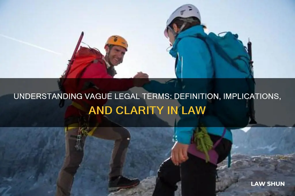 Understanding Vague Legal Terms: Definition, Implications, And Clarity ...