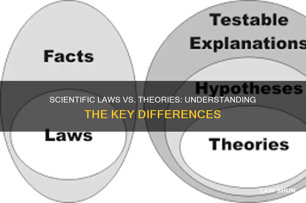 Scientific Laws Vs. Theories: Understanding The Key Differences | LawShun