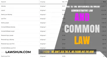Customary Vs Common Law: What's The Difference? | LawShun