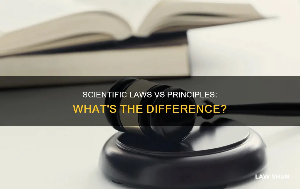 Scientific Laws Vs Principles: What's The Difference? | LawShun