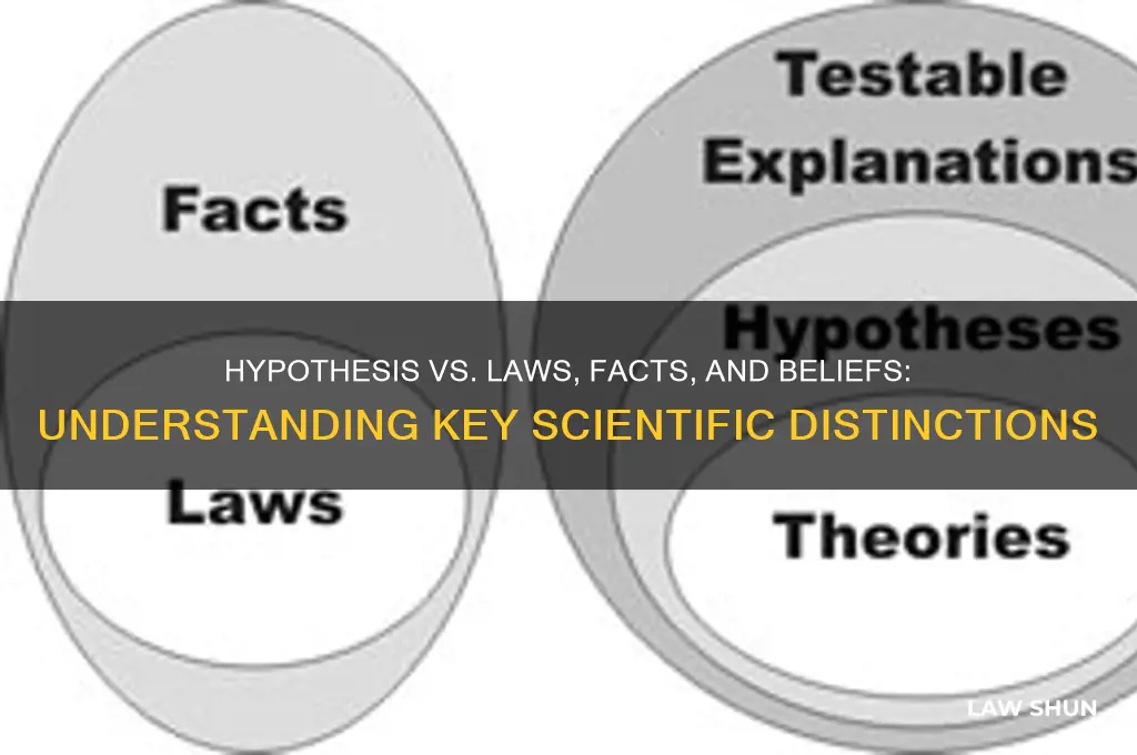 Hypothesis Vs. Laws, Facts, And Beliefs: Understanding Key Scientific ...