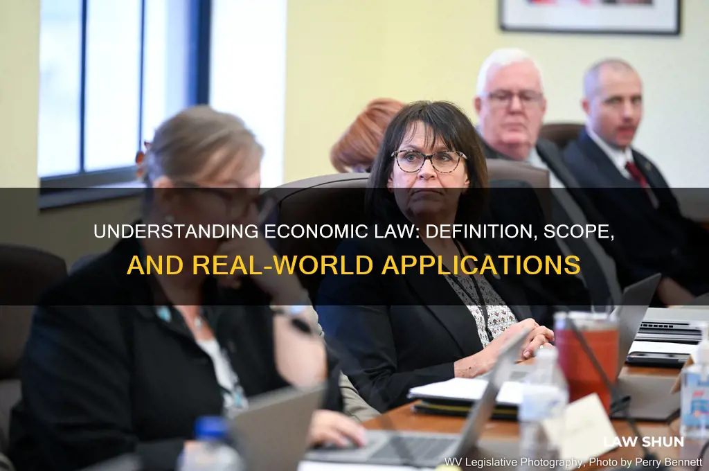 Understanding Economic Law: Definition, Scope, And Real-World ...