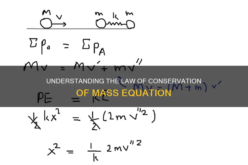 Understanding The Law Of Conservation Of Mass Equation | LawShun