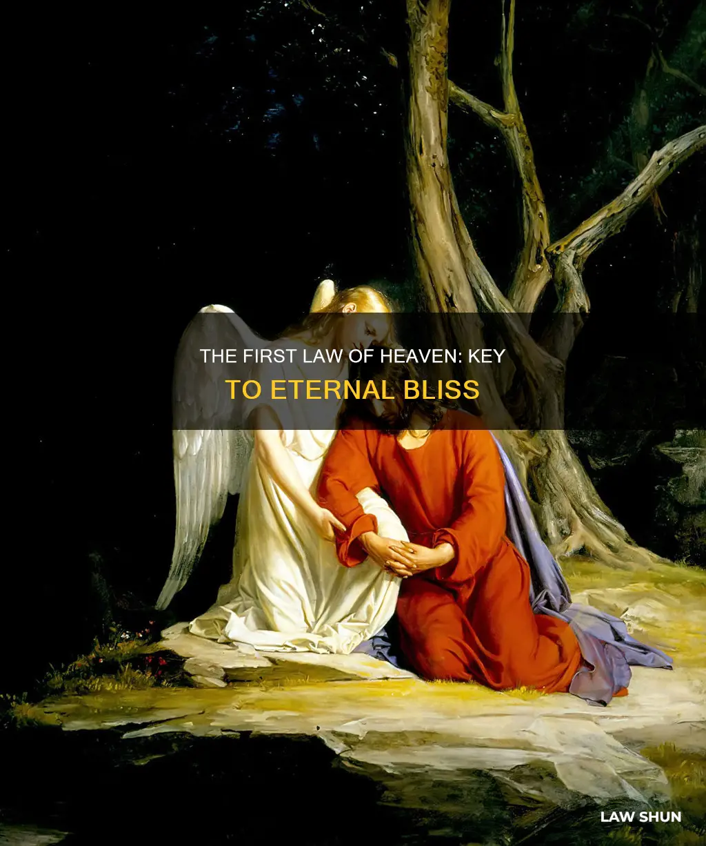 The First Law Of Heaven: Key To Eternal Bliss | LawShun