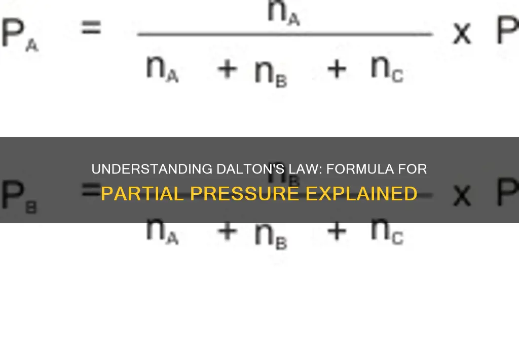 Understanding Dalton's Law: Formula For Partial Pressure Explained ...