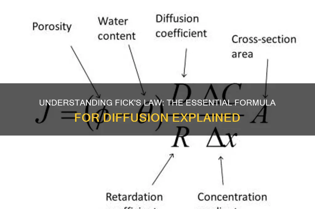 Understanding Fick's Law: The Essential Formula For Diffusion Explained ...