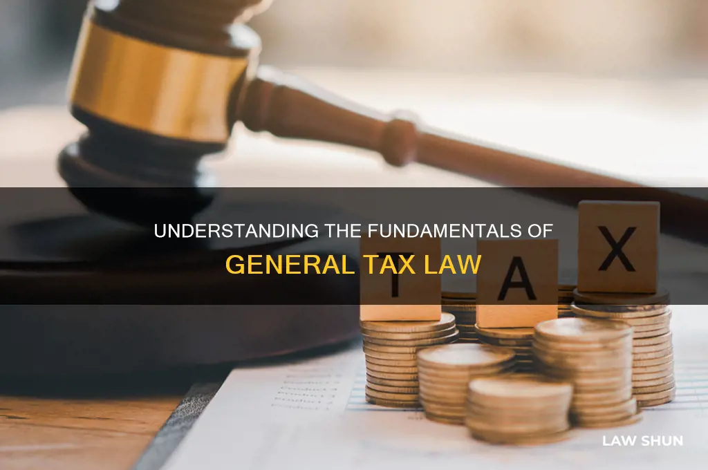 Understanding The Fundamentals Of General Tax Law | LawShun