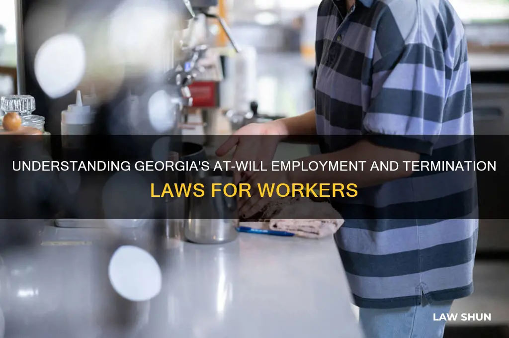 Understanding Georgia's At-Will Employment And Termination Laws For ...