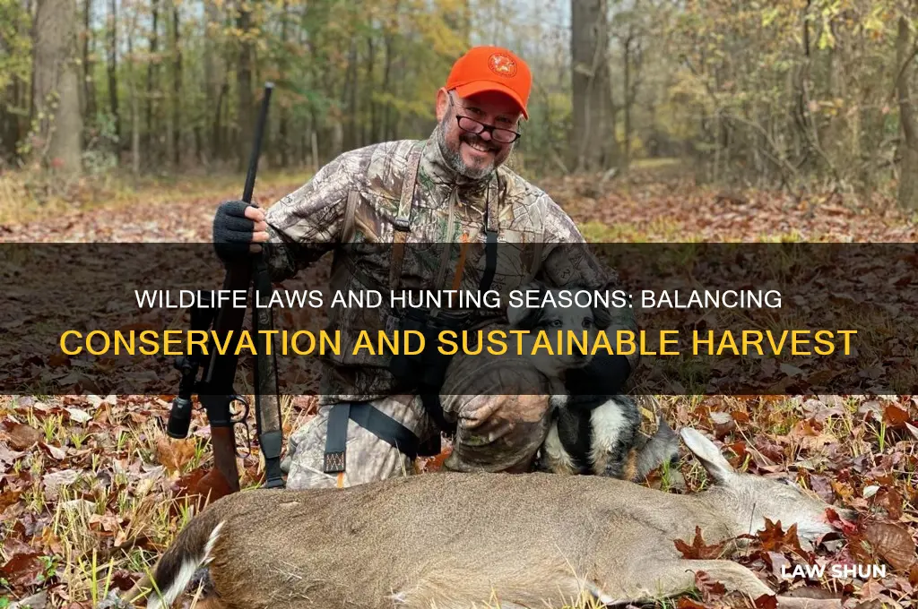 Wildlife Laws And Hunting Seasons: Balancing Conservation And ...