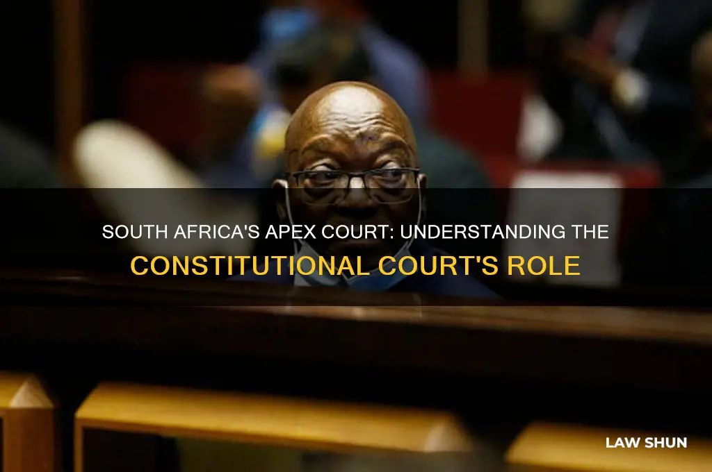 South Africa's Apex Court: Understanding The Constitutional Court's ...