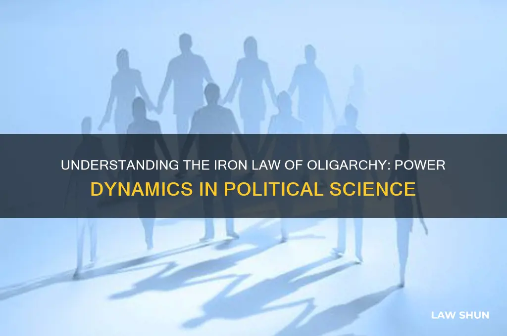 Understanding The Iron Law Of Oligarchy: Power Dynamics In Political ...