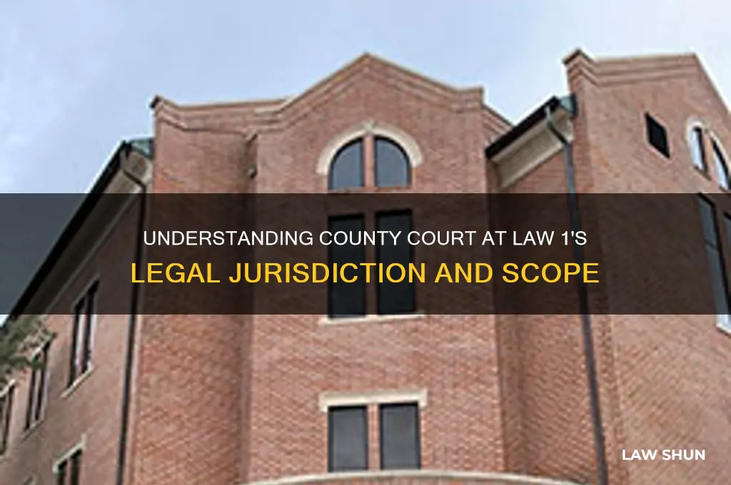 Understanding County Court At Law 1'S Legal Jurisdiction And Scope ...