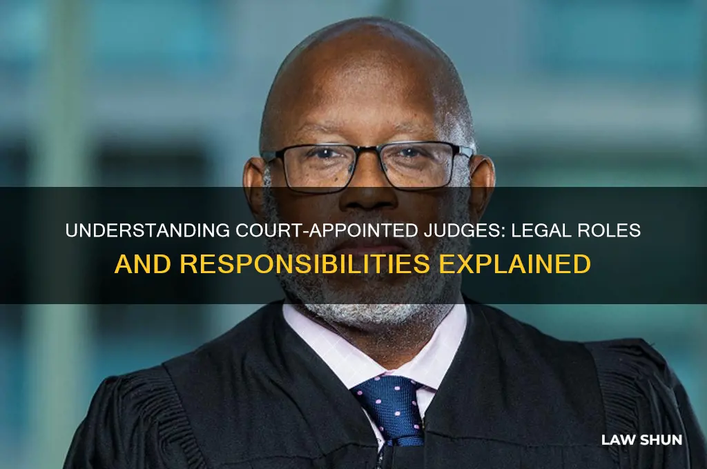 Understanding Court-Appointed Judges: Legal Roles And Responsibilities ...