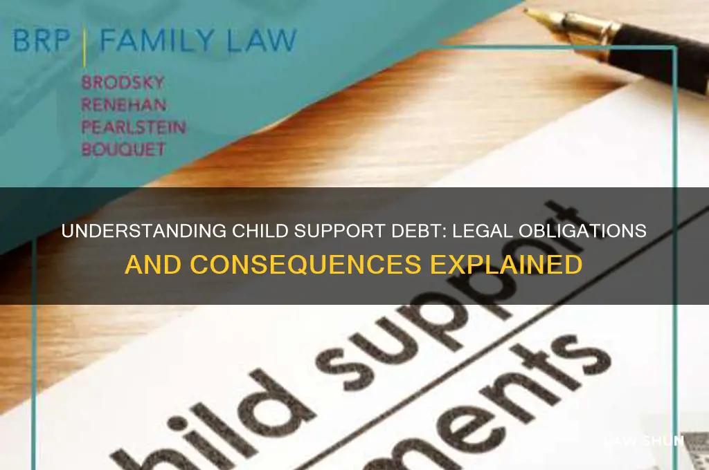 Understanding Child Support Debt: Legal Obligations And Consequences ...