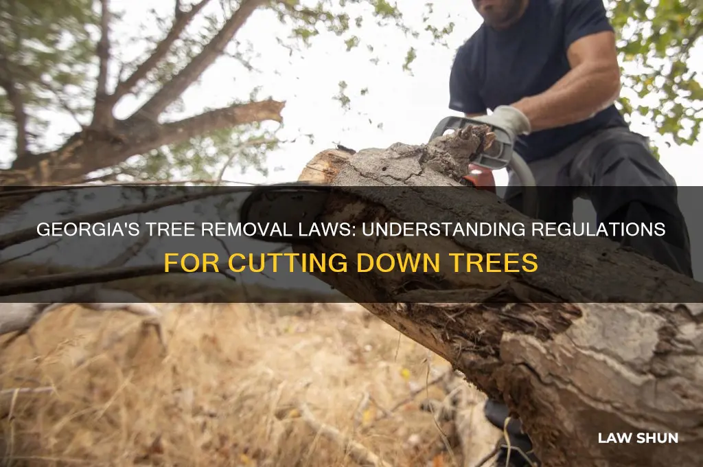 Georgia's Tree Removal Laws: Understanding Regulations For Cutting Down ...