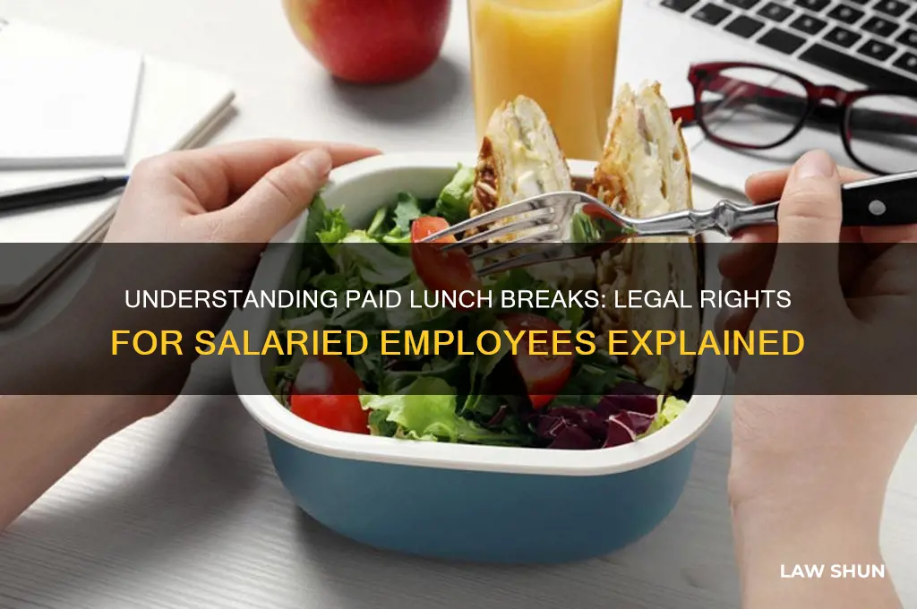 Understanding Paid Lunch Breaks: Legal Rights For Salaried Employees ...