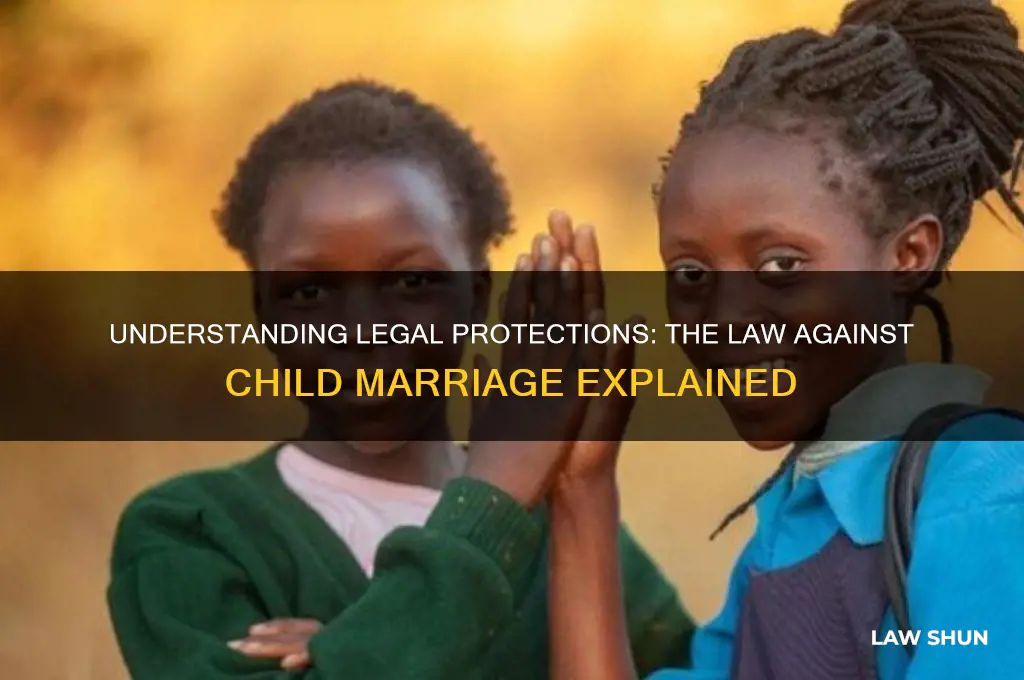Understanding Legal Protections: The Law Against Child Marriage ...