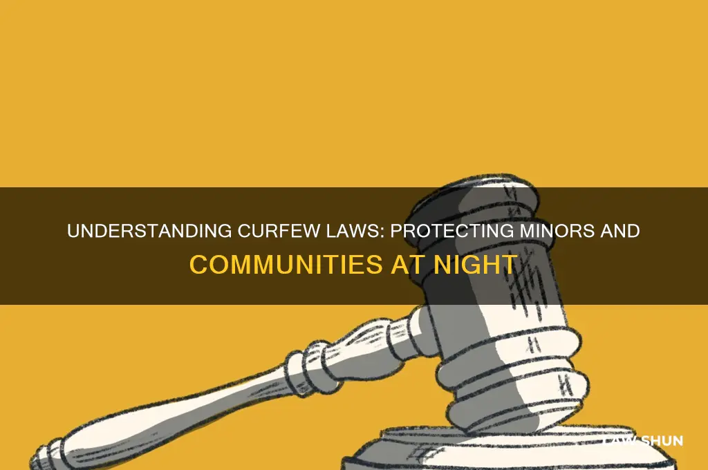 Understanding Curfew Laws: Protecting Minors And Communities At Night ...