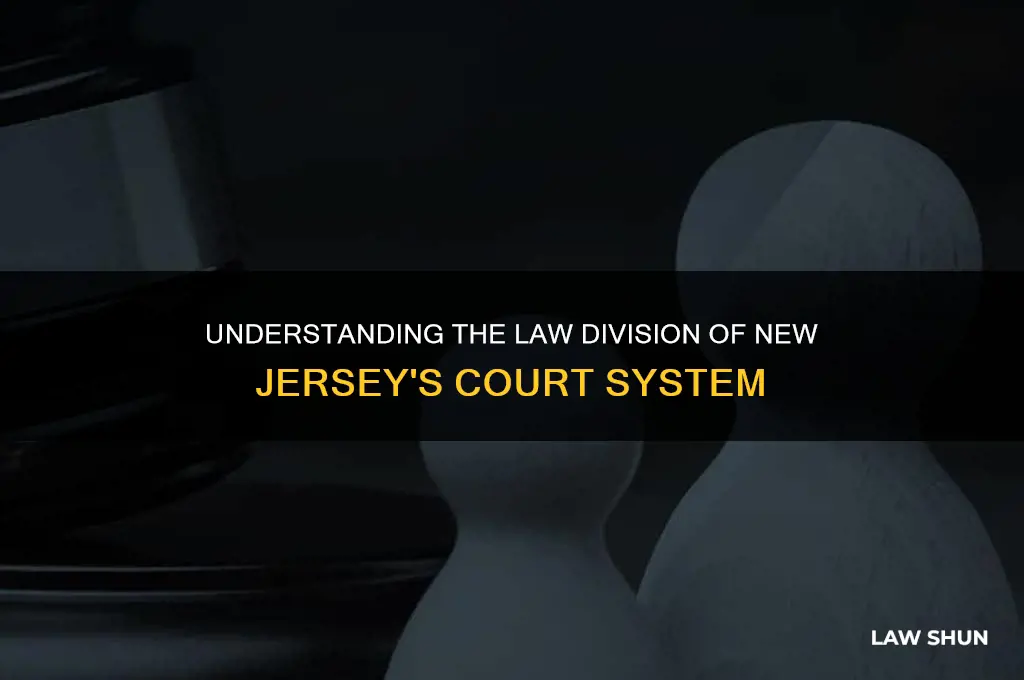 Understanding The Law Division Of New Jersey's Court System | LawShun