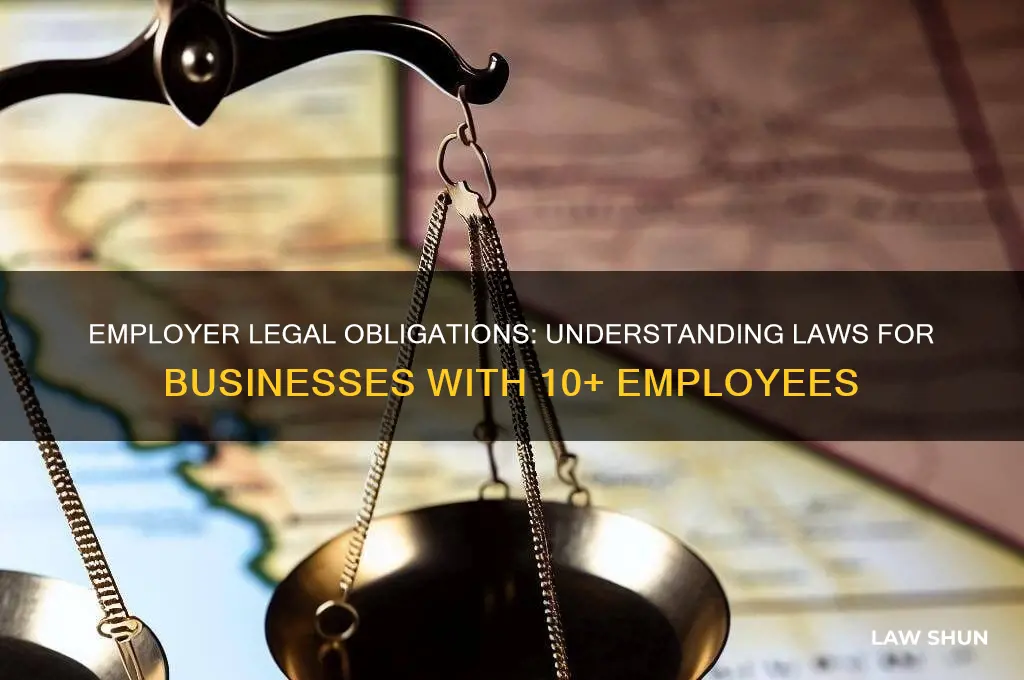 Employer Legal Obligations: Understanding Laws For Businesses With 10 ...