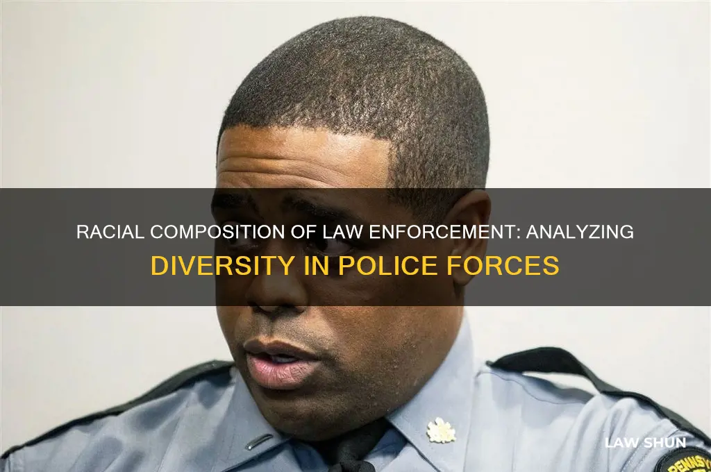 Racial Composition Of Law Enforcement: Analyzing Diversity In Police ...