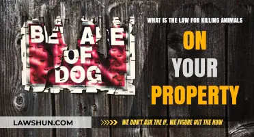 Parking On Private Property: Understanding Your Legal Rights And ...