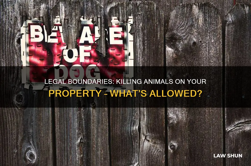 Legal Boundaries: Killing Animals On Your Property – What’S Allowed ...
