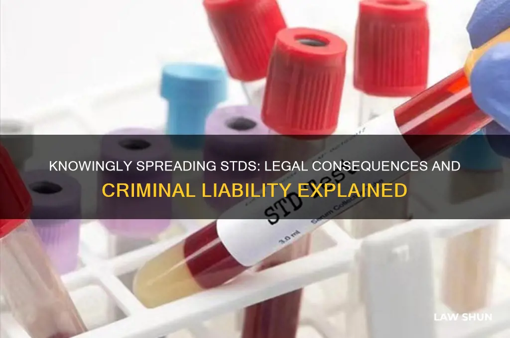 Knowingly Spreading Stds: Legal Consequences And Criminal Liability ...