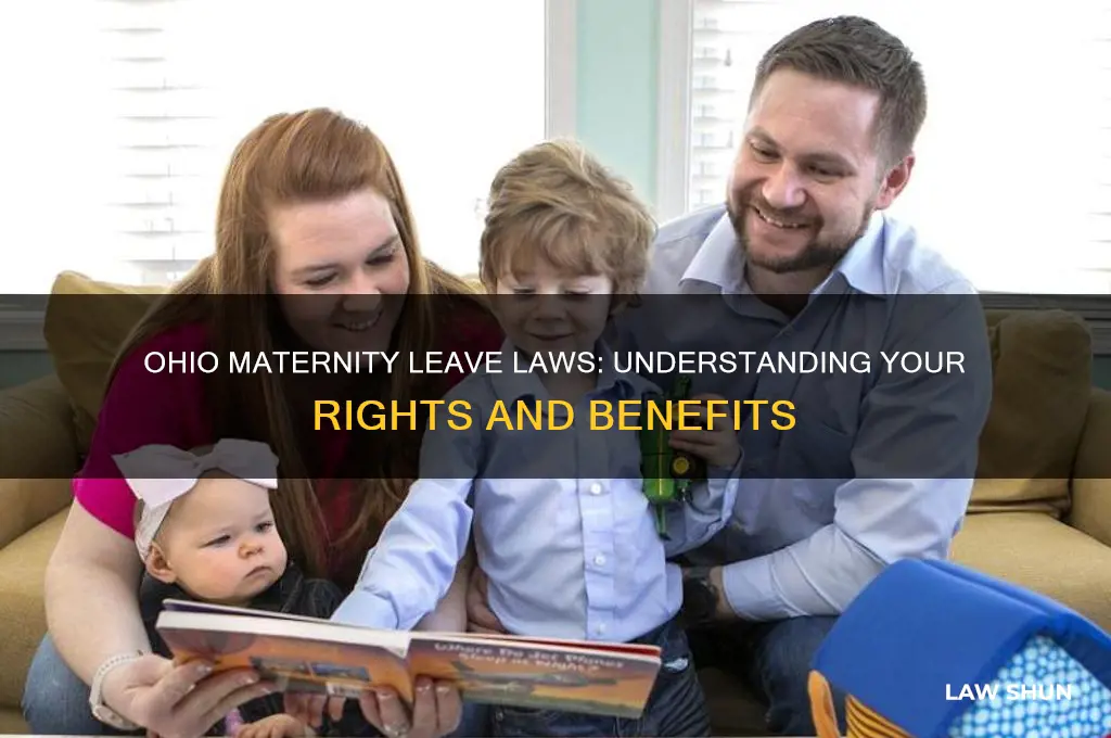 Ohio Maternity Leave Laws: Understanding Your Rights And Benefits | LawShun
