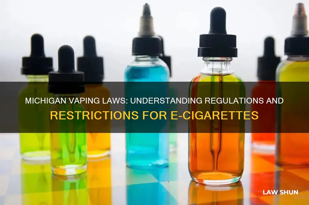 Michigan Vaping Laws: Understanding Regulations And Restrictions For E ...
