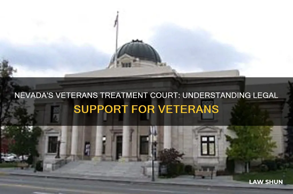 Nevada's Veterans Treatment Court: Understanding Legal Support For ...