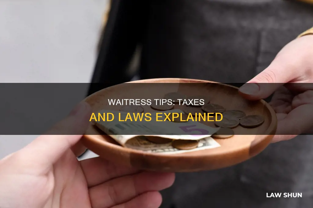 Waitress Tips: Taxes And Laws Explained | LawShun